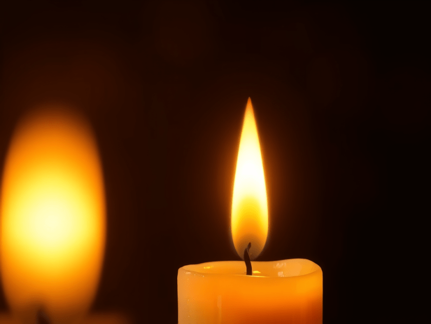 Reigniting the flame – Learning through the Library